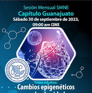 Sesiones Capítulos | SMNE